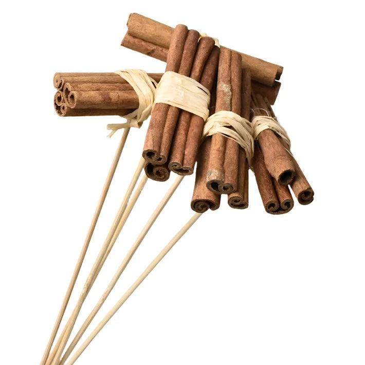Cinnamon Sticks Per Stem – Reemflora